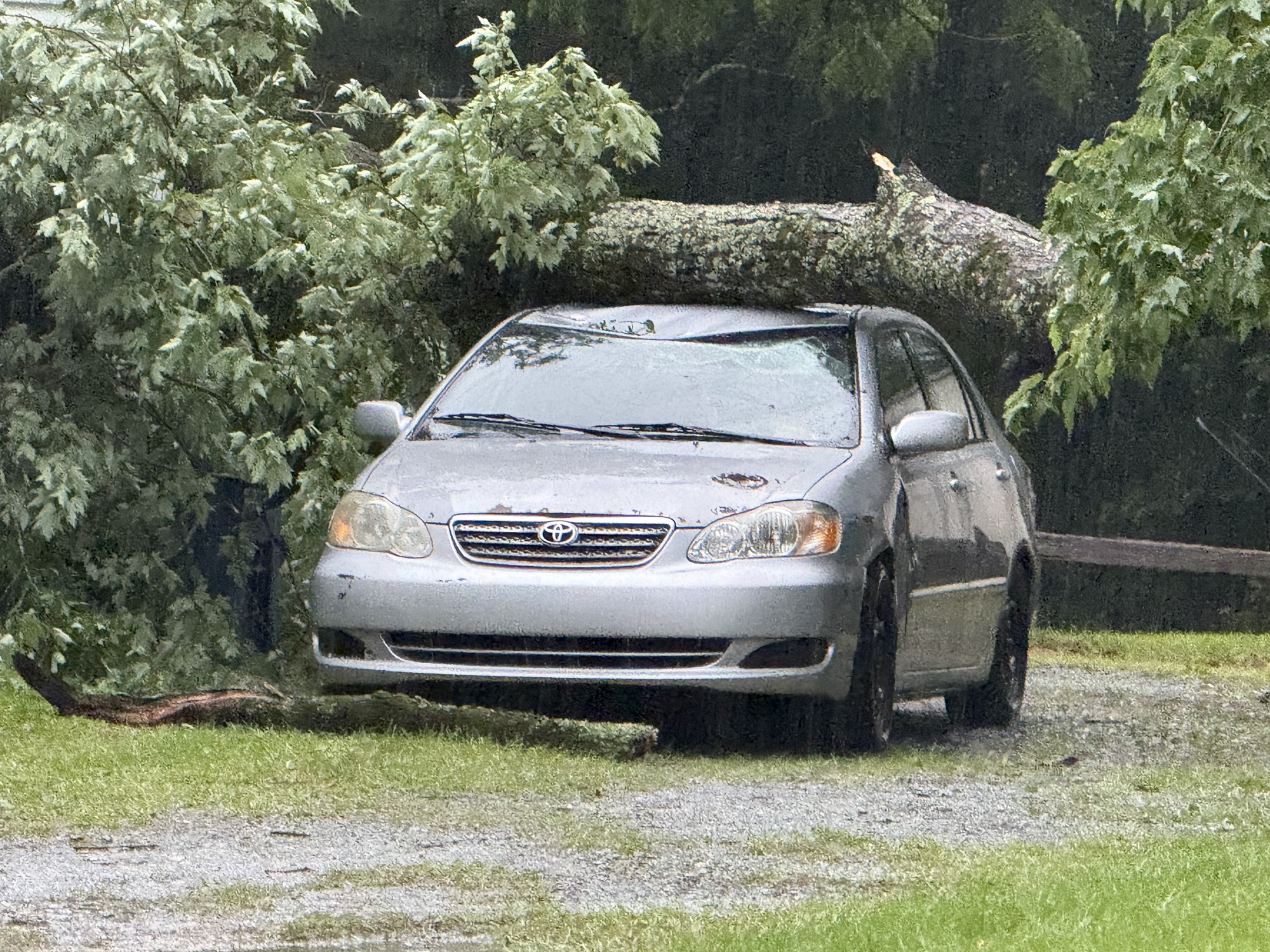 Tree falls on car and house during storm in Vass | Moore County News