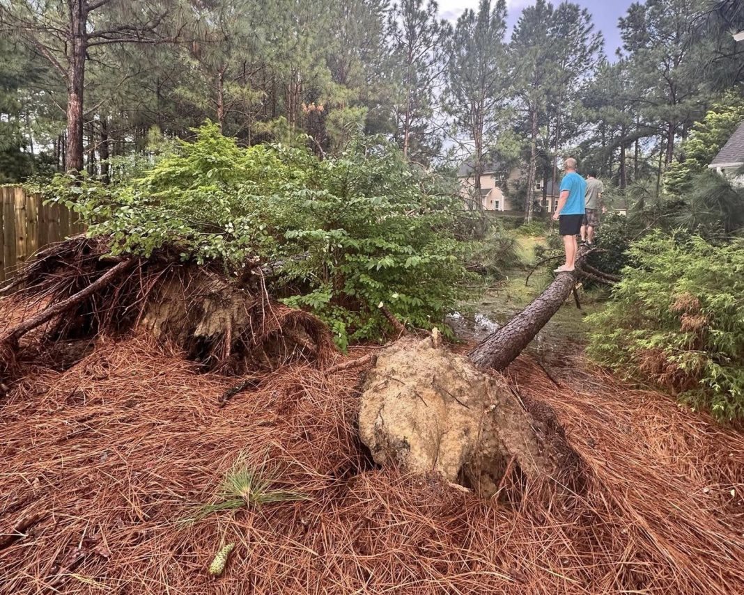 Possible microburst topples trees, damages homes and vehicles in ...